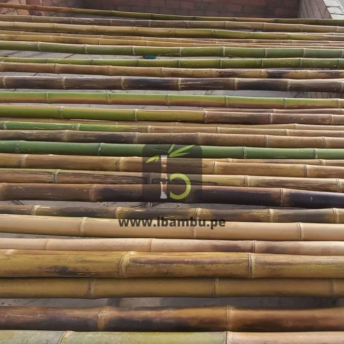 Ibambu – Lo mejor en bambú – Bioconstrucción, Instalaciones en ...